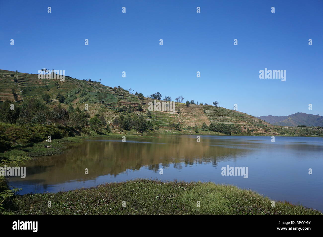 Telaga Cebong Dieng, Central Java Stock Photo - Alamy