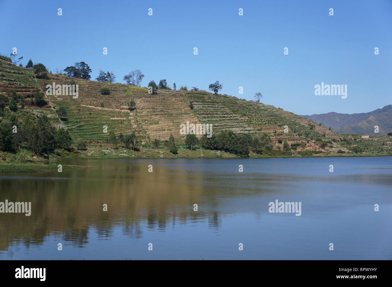 Telaga Cebong Dieng, Central Java Stock Photo - Alamy