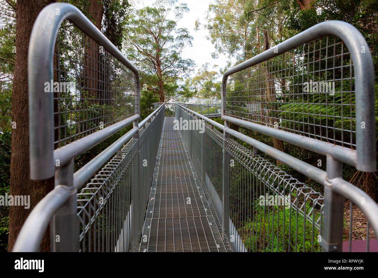 Treetop walk path hi-res stock photography and images - Alamy
