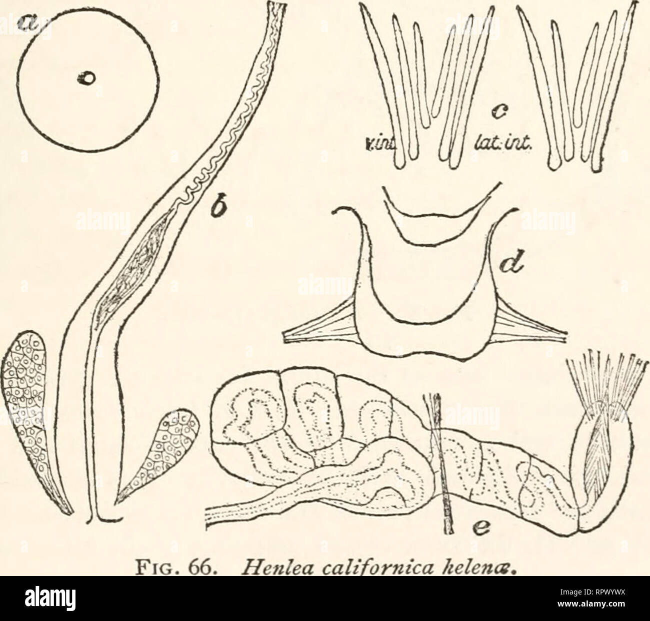 . Alaska. Natural history -- Alaska; Scientific expeditions; Alaska ...