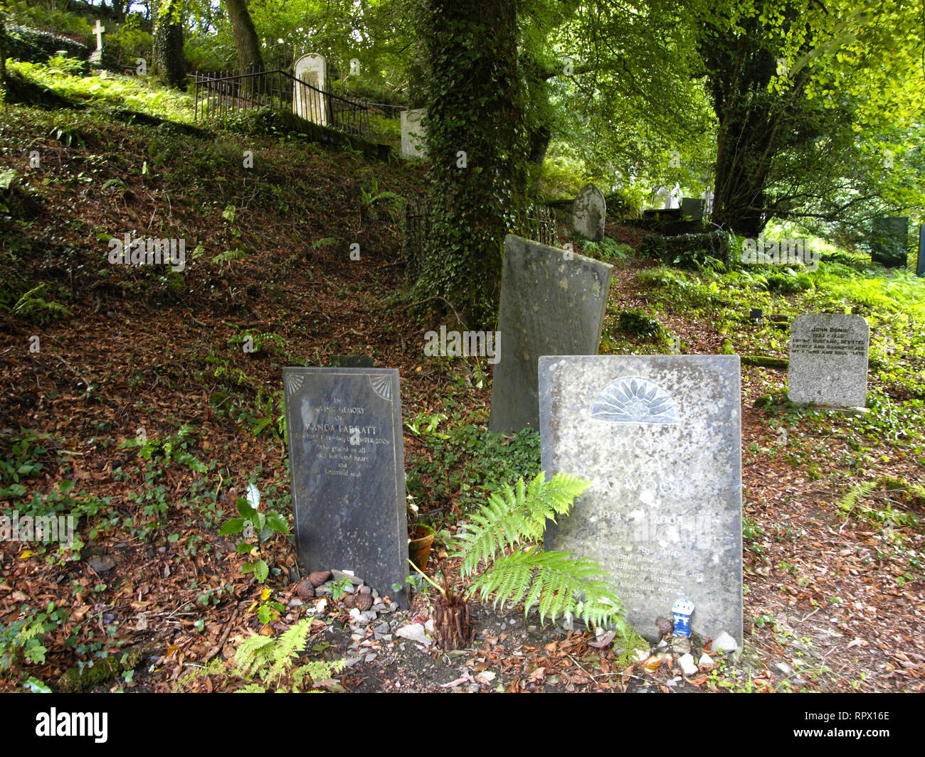 Overgrown churchyard hi-res stock photography and images - Alamy