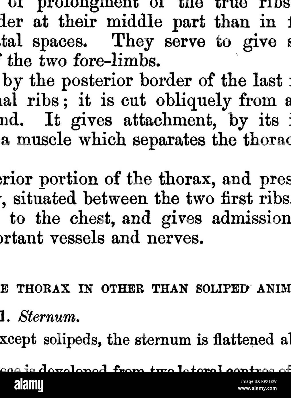 . The comparative anatomy of the domesticated animals. Veterinary ...