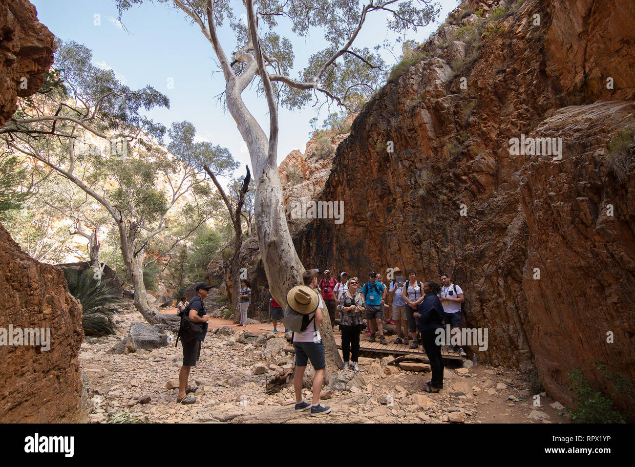 Standley Chasm Angkerle Atwatye is regarded as a "must see" spectacular ...