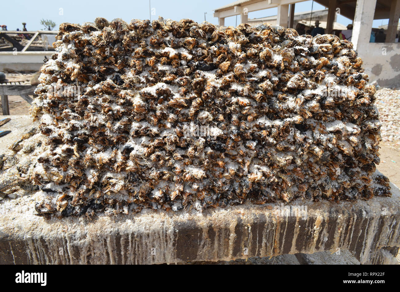 Dried Braised And Salted Fish High Resolution Stock Photography and ...