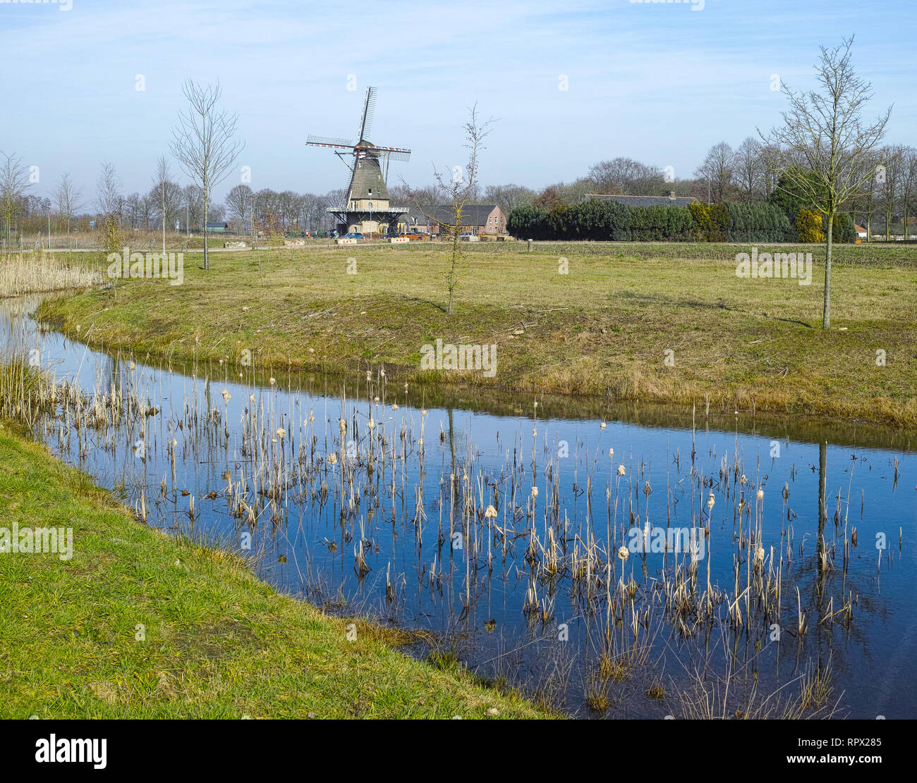 Spring landscape with traditional Dutch windmill in Brabant near Oerle ...