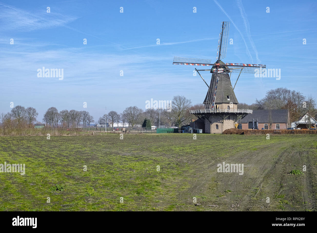 Spring landscape with traditional Dutch windmill in Brabant near Oerle ...