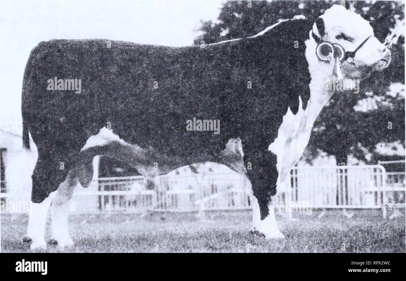 Monarch alberta hi-res stock photography and images - Alamy