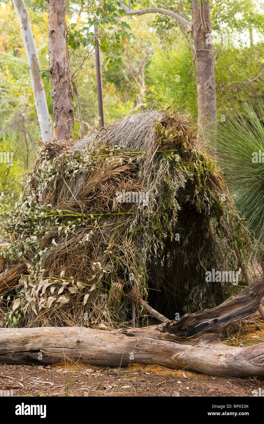 An Aboriginal humpy in the forest, Australia Stock Photo - Alamy