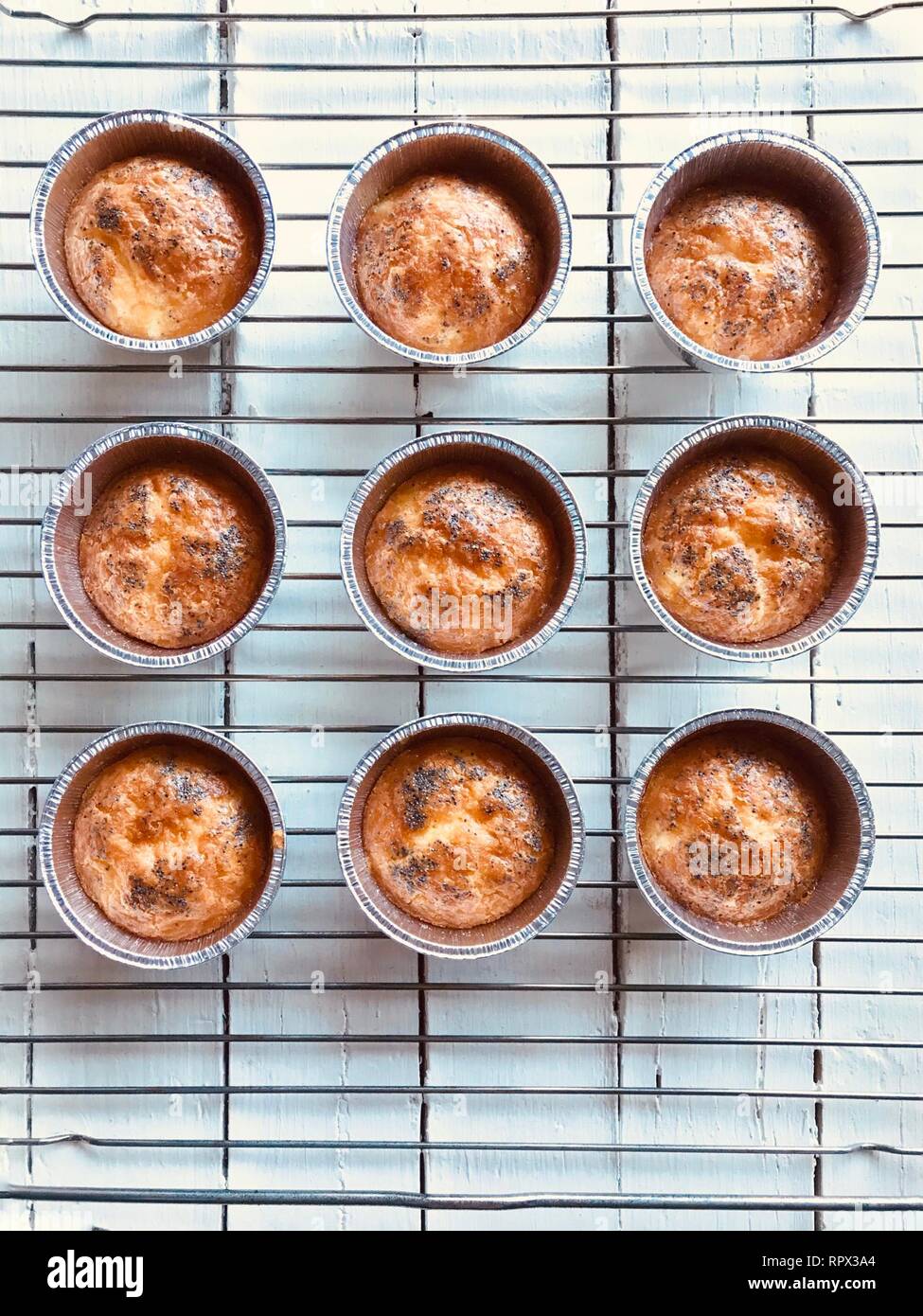 Salted muffins with poppy seeds Stock Photo - Alamy