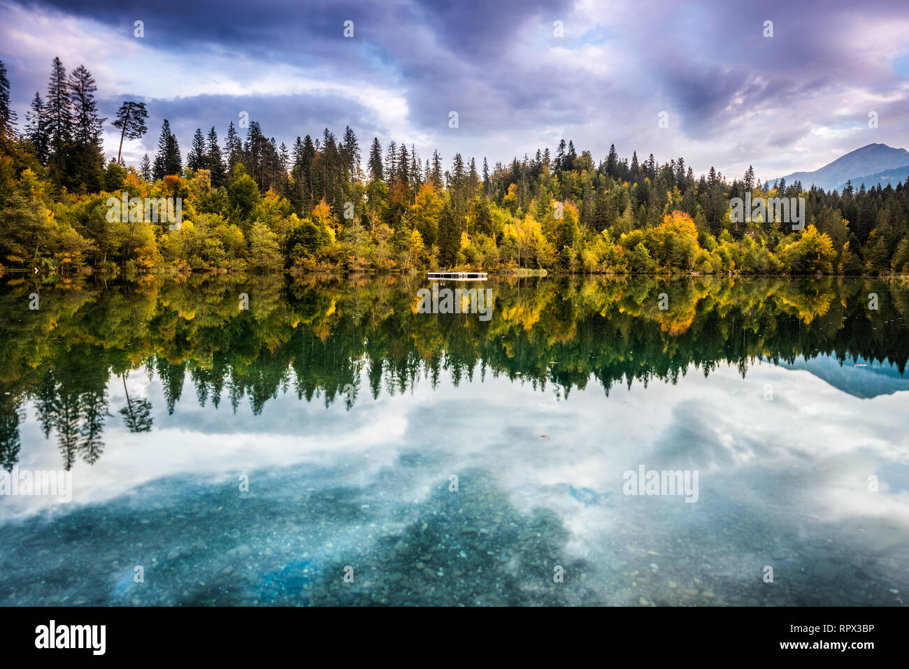 Forest reflections in lake, Crestasee, Grisons, Switzerland Stock Photo ...