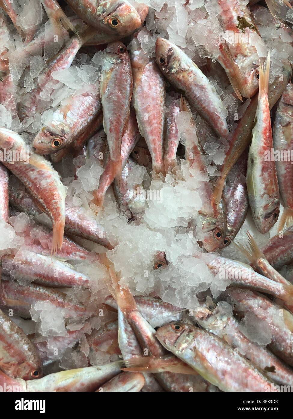 Overhead view of fish on ice at a market Stock Photo - Alamy