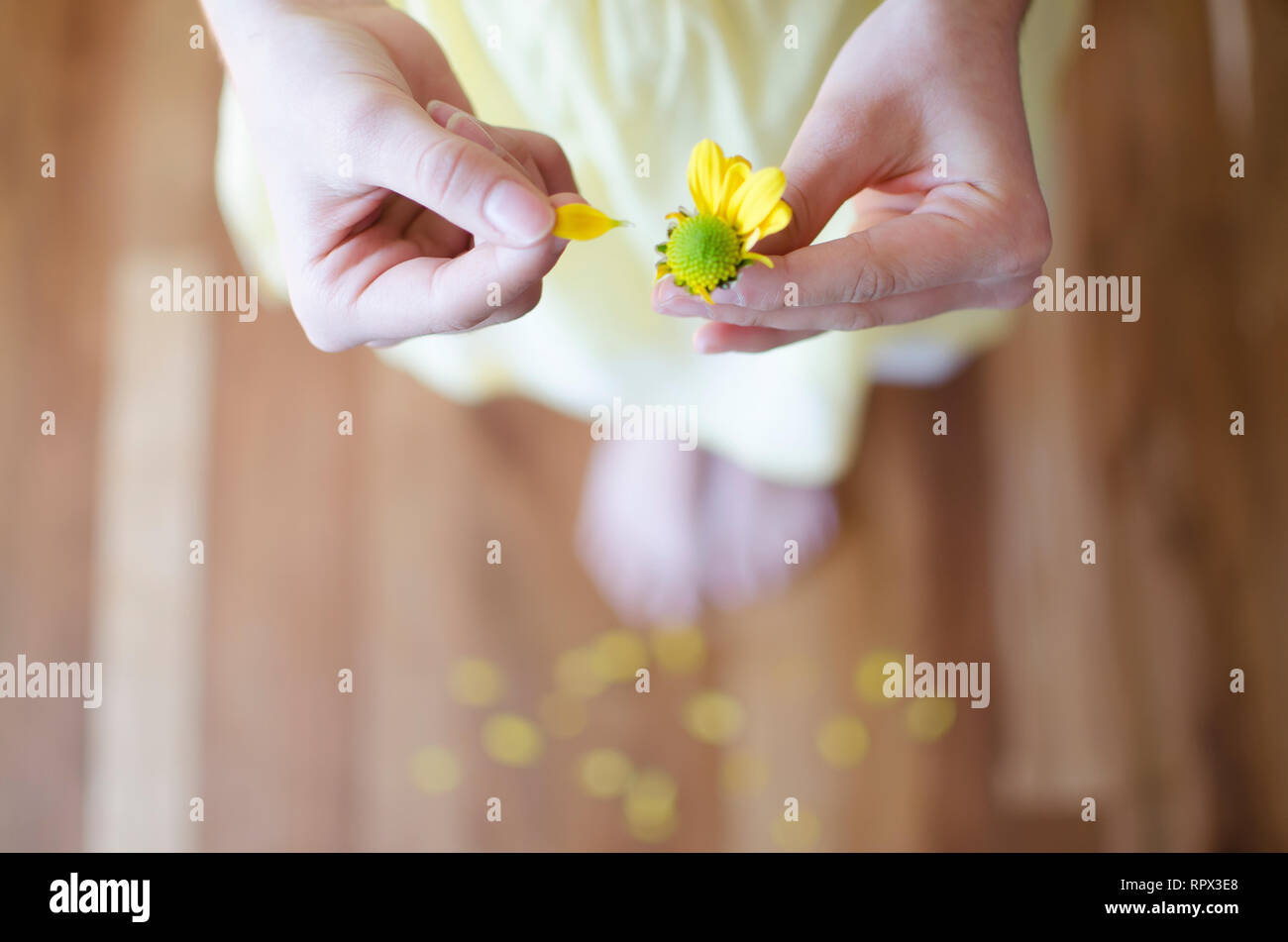 Pulling flower hi-res stock photography and images - Alamy