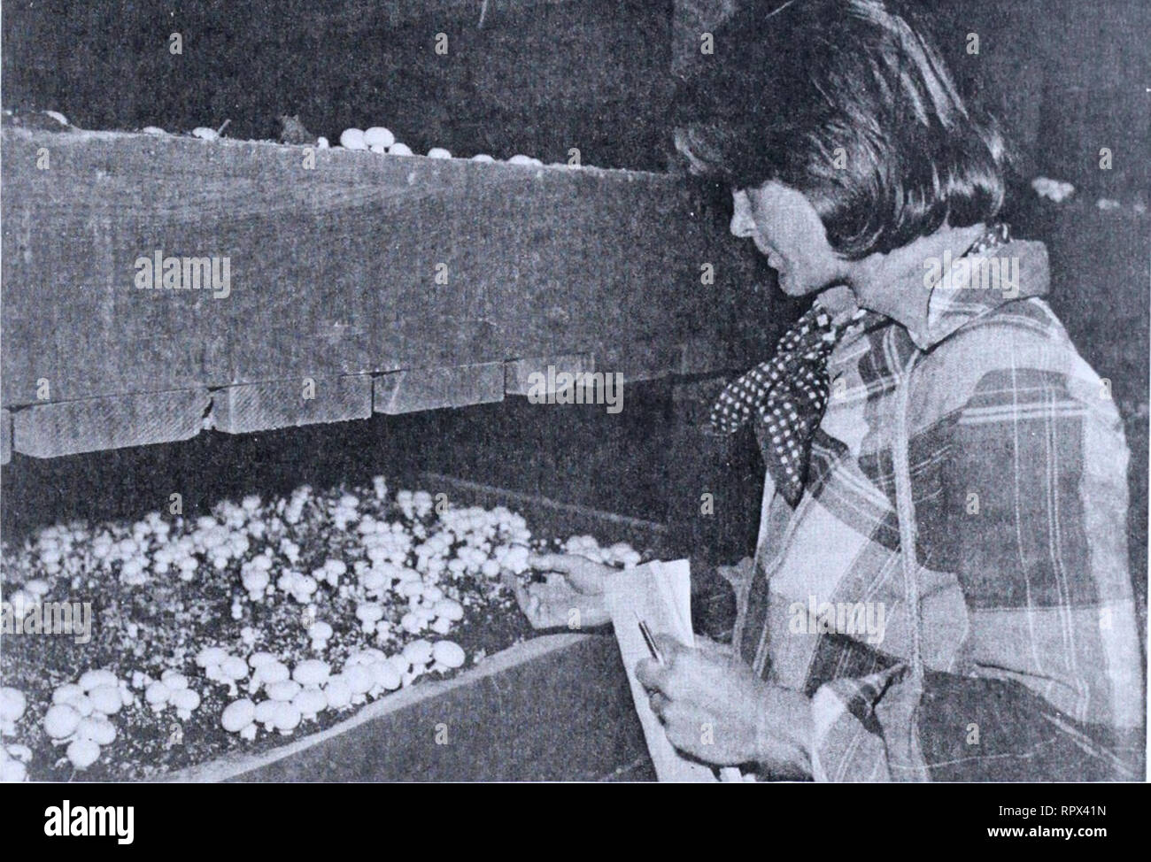 John lumsden hi-res stock photography and images - Alamy