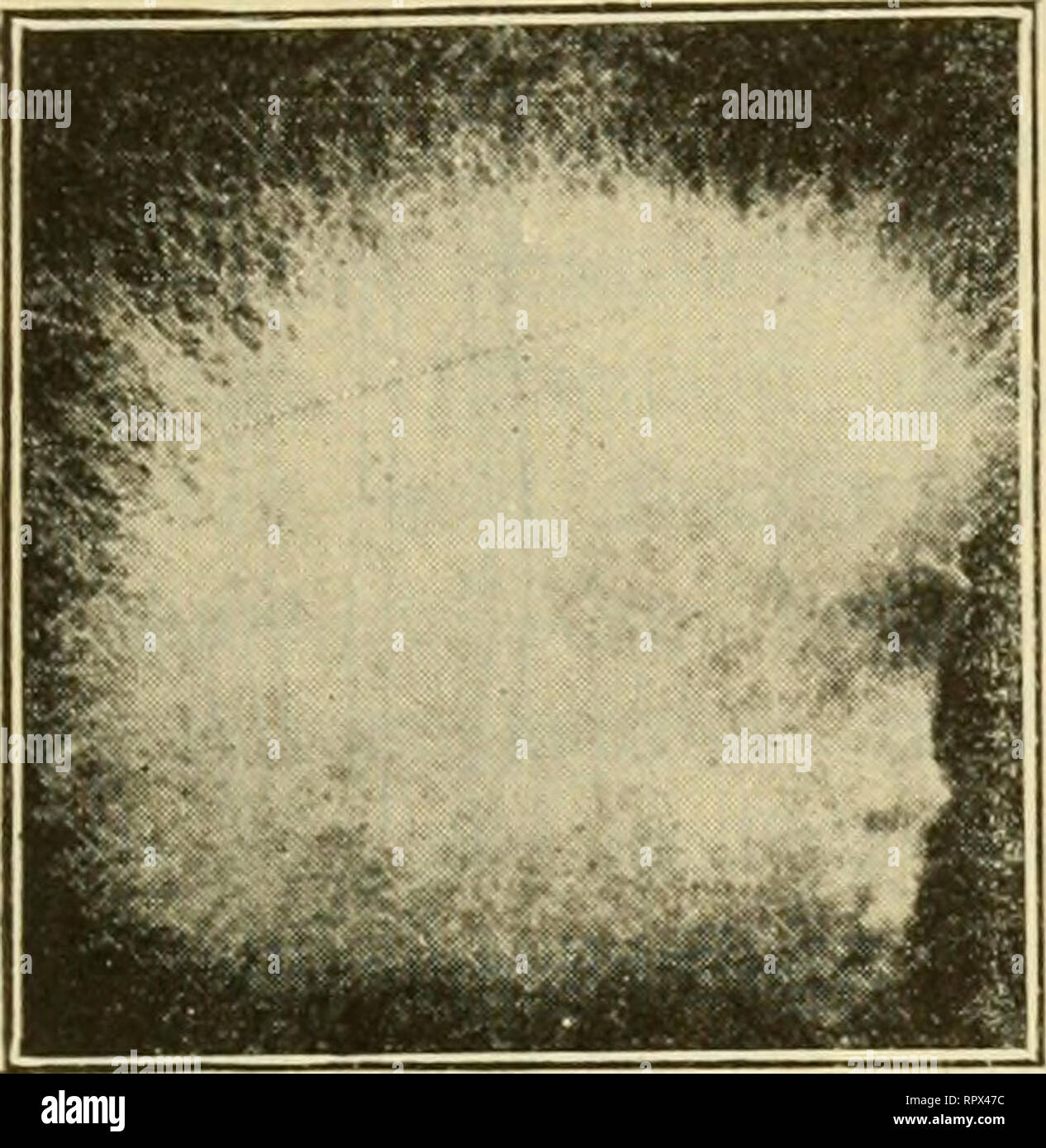 Stale ber hi-res stock photography and images - Alamy