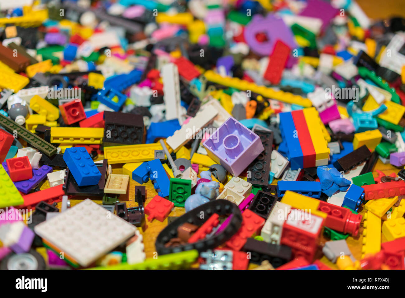 Close up of colorful plastic bricks on the floor. Early learning ...