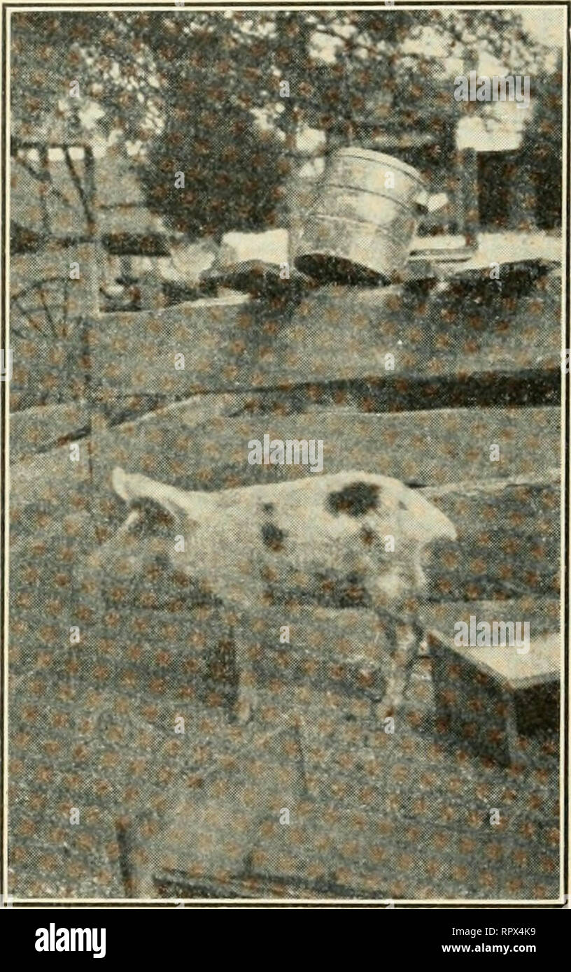 . Agriculture, its fundamental principles. Agriculture. 264 AGRICUtTURE ...