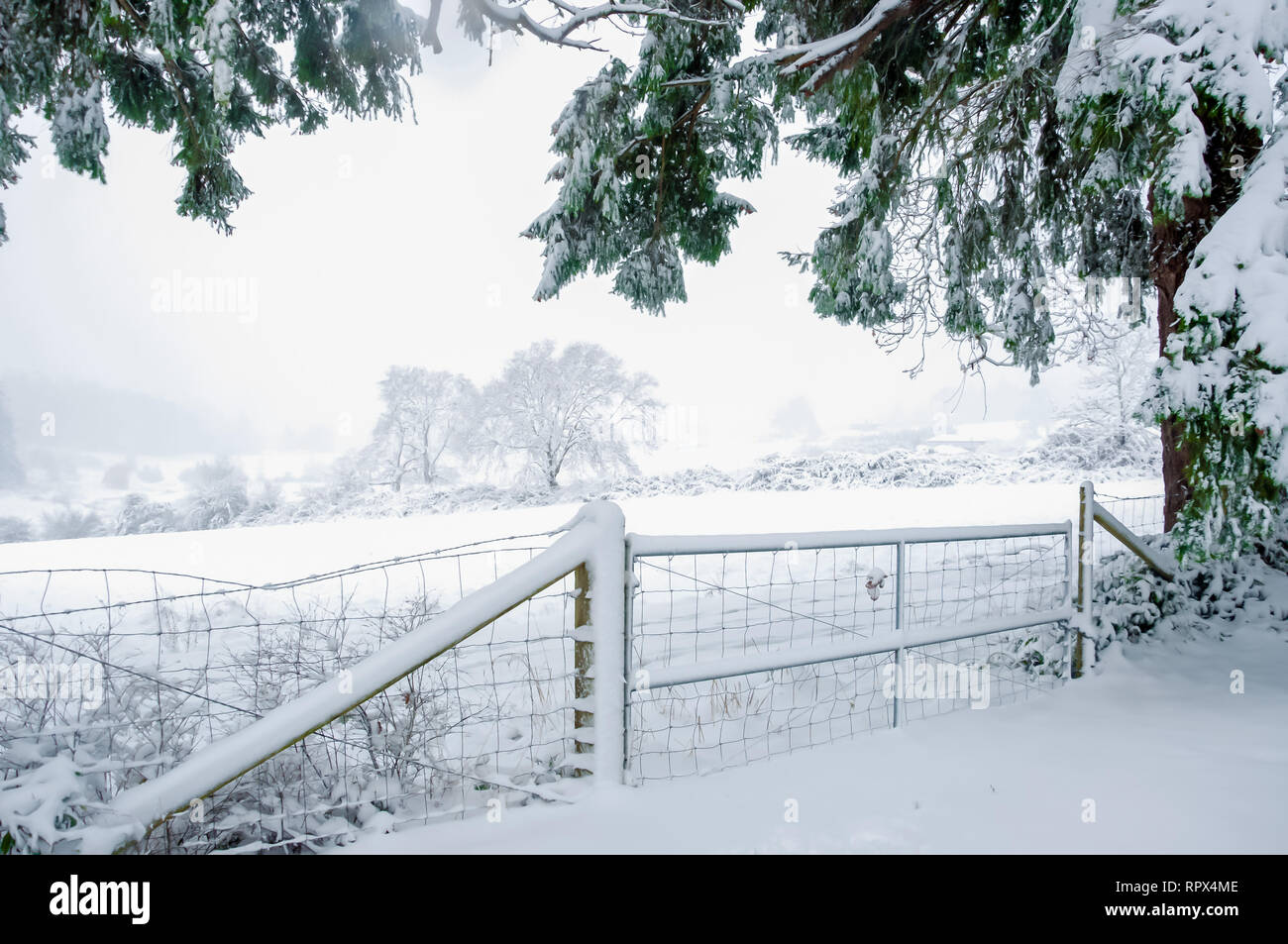 Entrance gate snow hi-res stock photography and images - Alamy