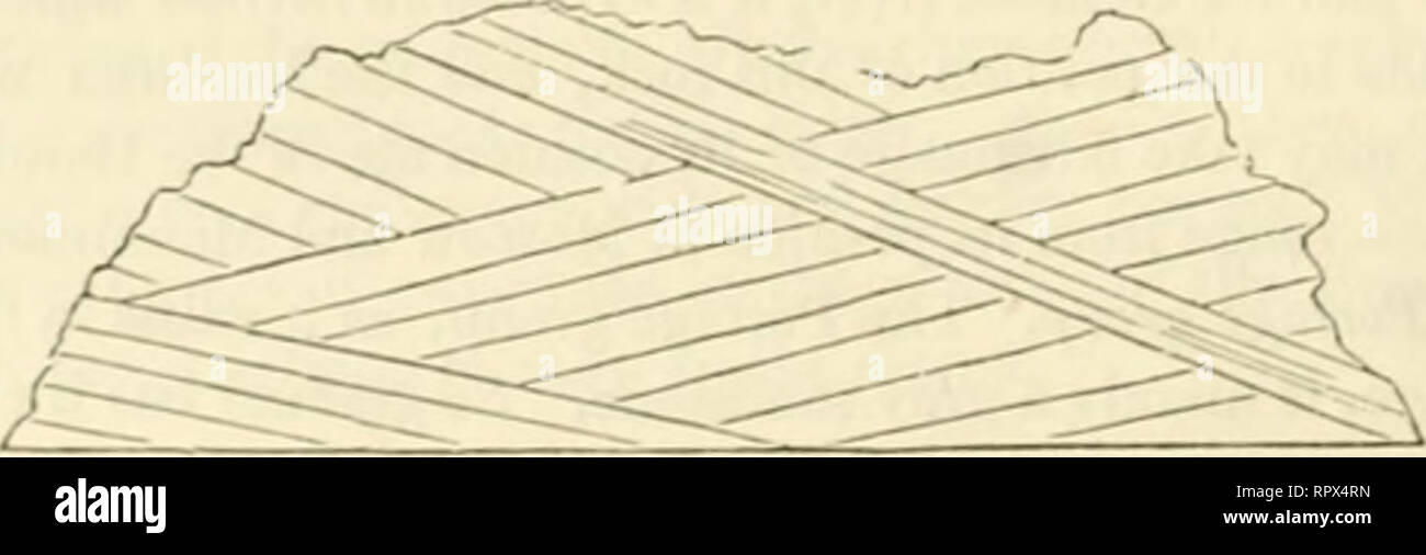 . Agriculture of New York : comprising an account of the classification ...