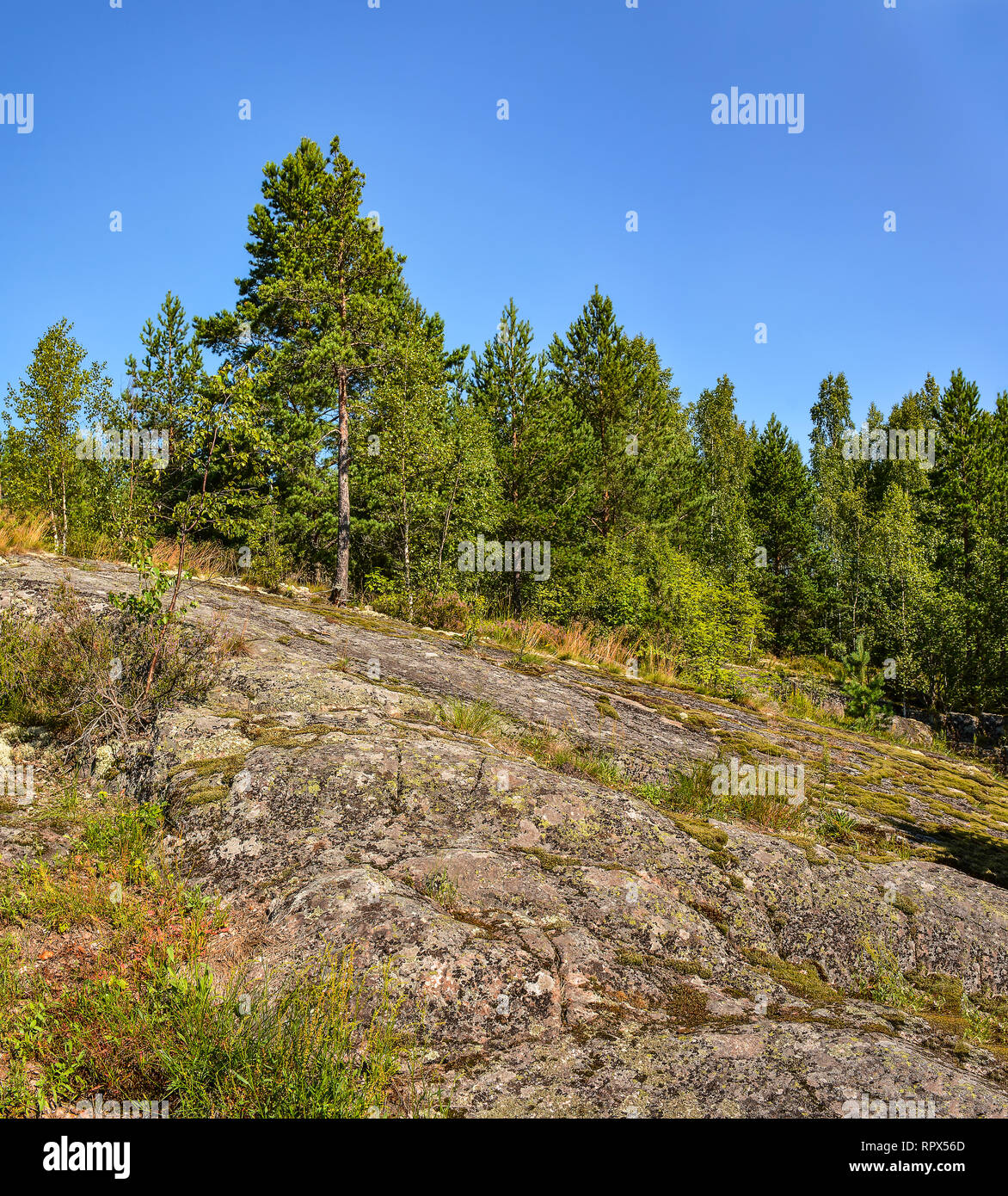 Summer in the North in the Republic of Karelia. Bays and Islands in the ...