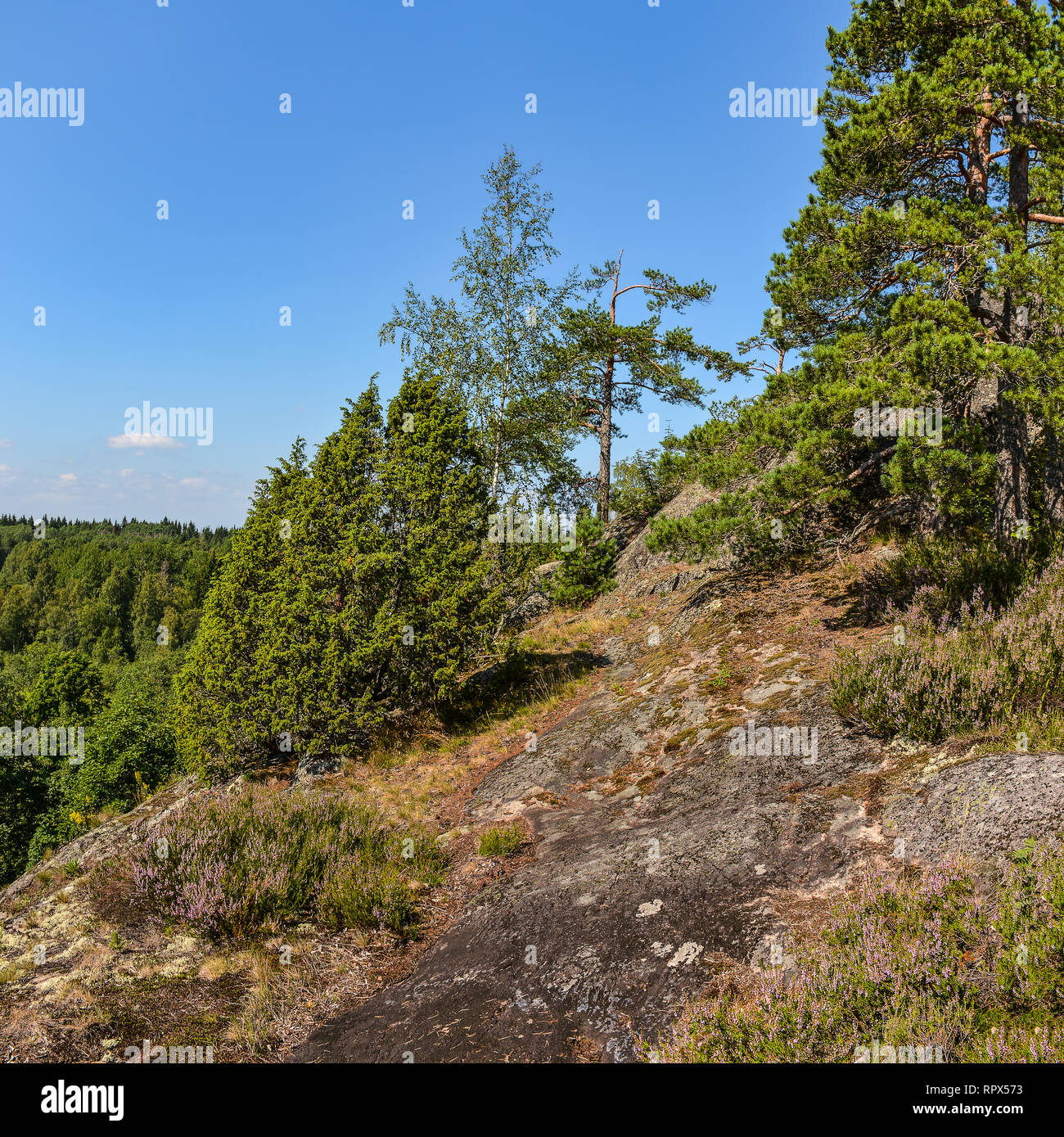 Summer in the North in the Republic of Karelia. Bays and Islands in the ...