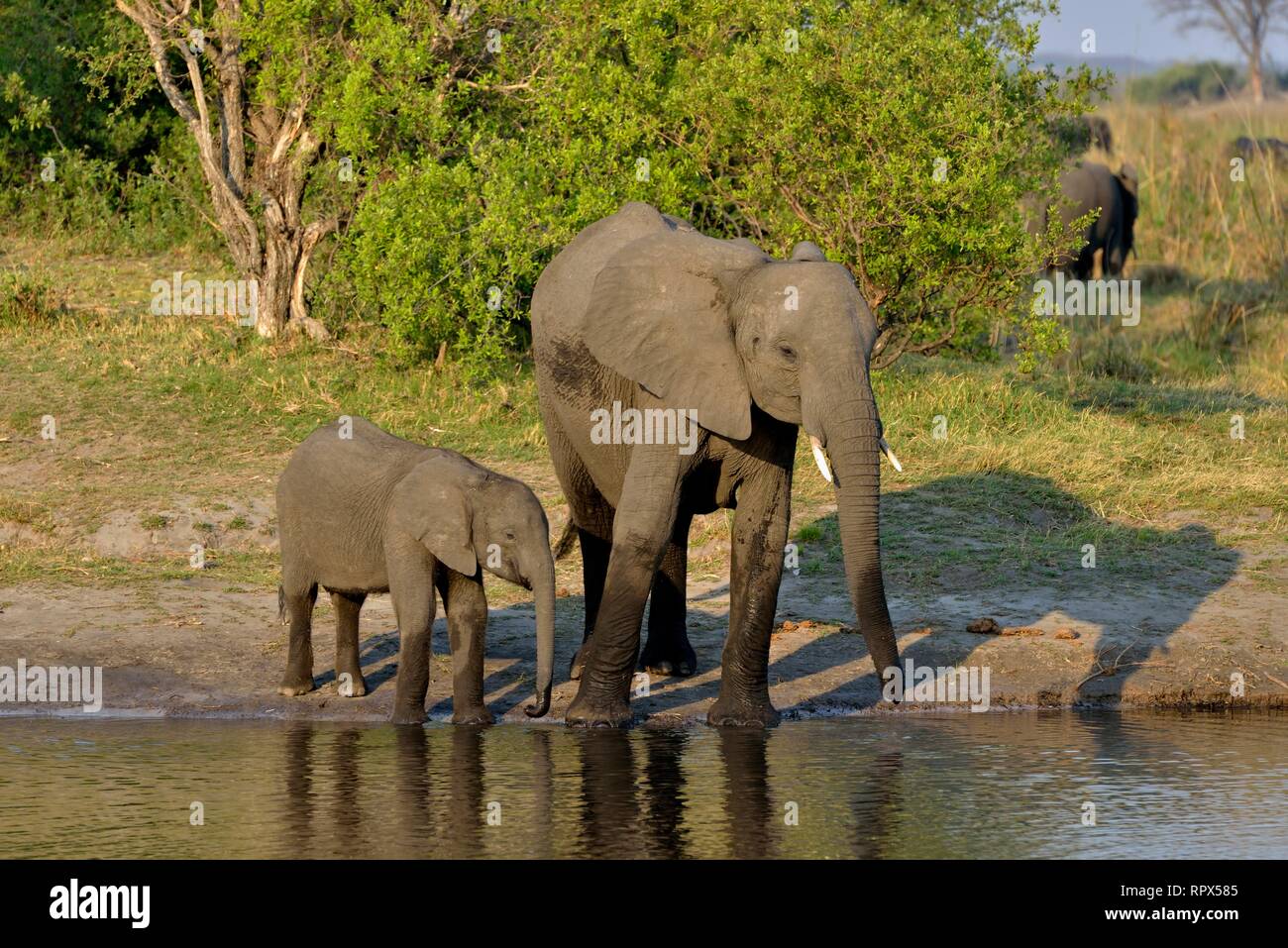 Cuando river hi-res stock photography and images - Alamy