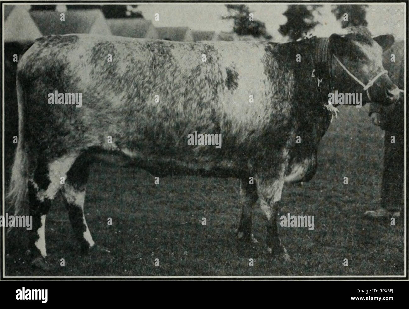 . Agriculture in Canada; modern principles of agriculture applicable to ...