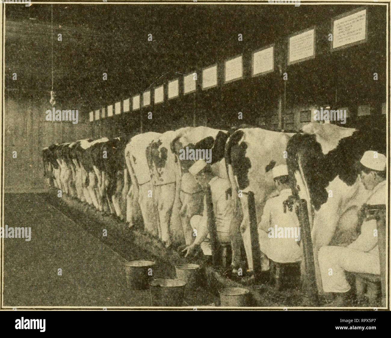 . Agriculture for common schools. Agriculture. PRODUCING GOOD MILK 303 ...