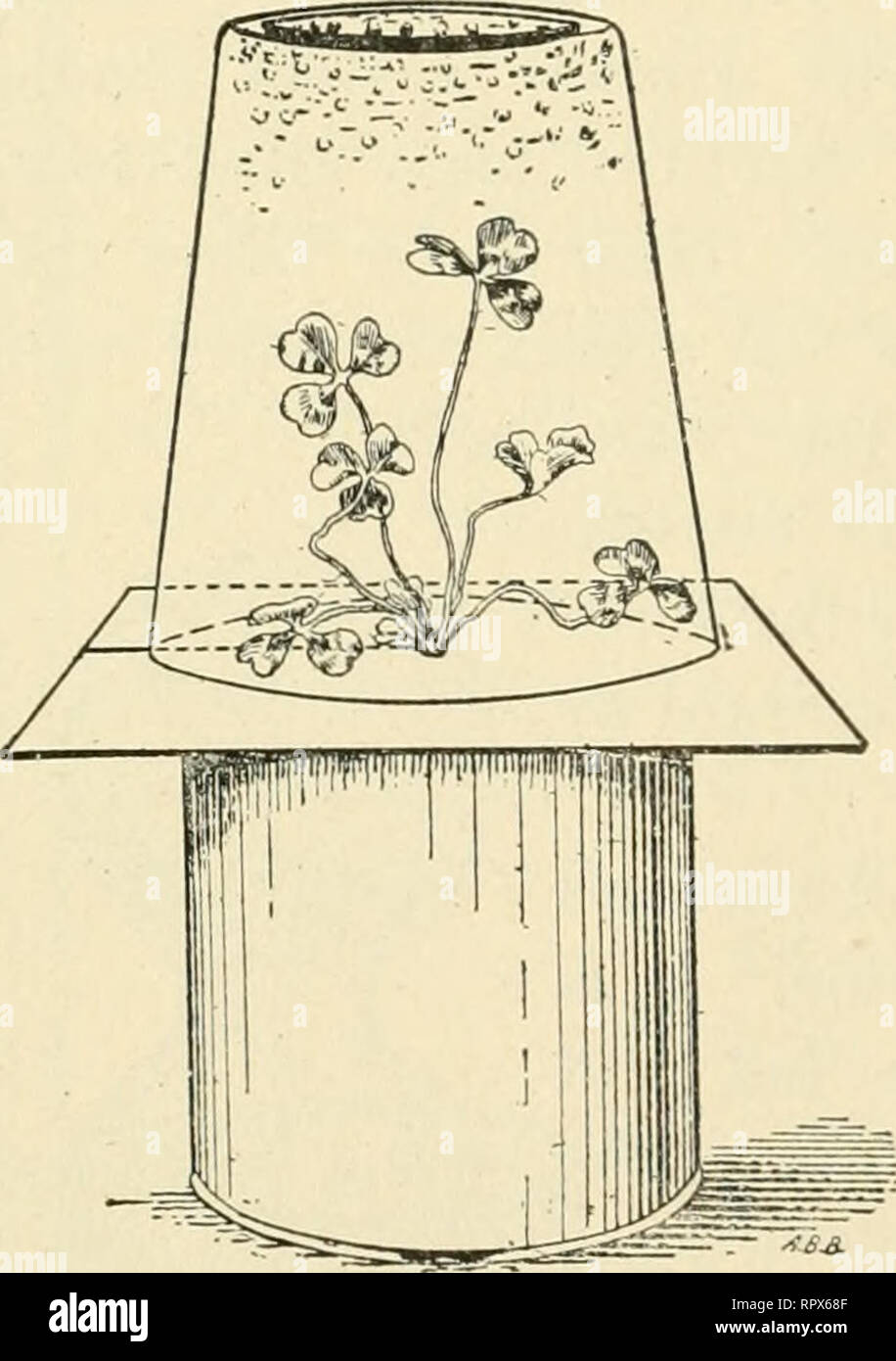 Great Soil Percolation