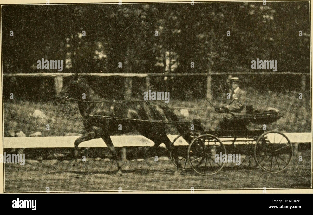 . Agriculture for common schools. Agriculture. THE HORSE 221 The ...