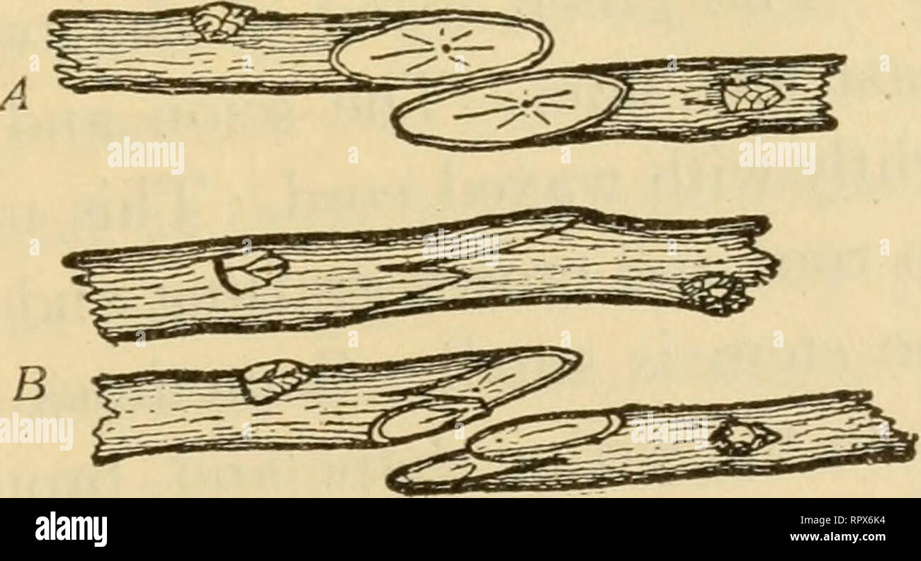 how to draw wood digitally