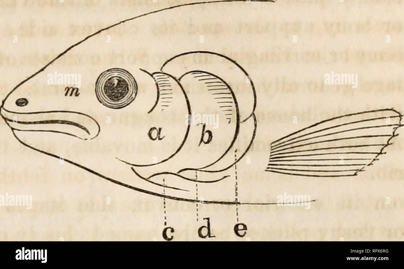 . Agriculture of Maine. ... annual report of the Secretary of the Maine ...