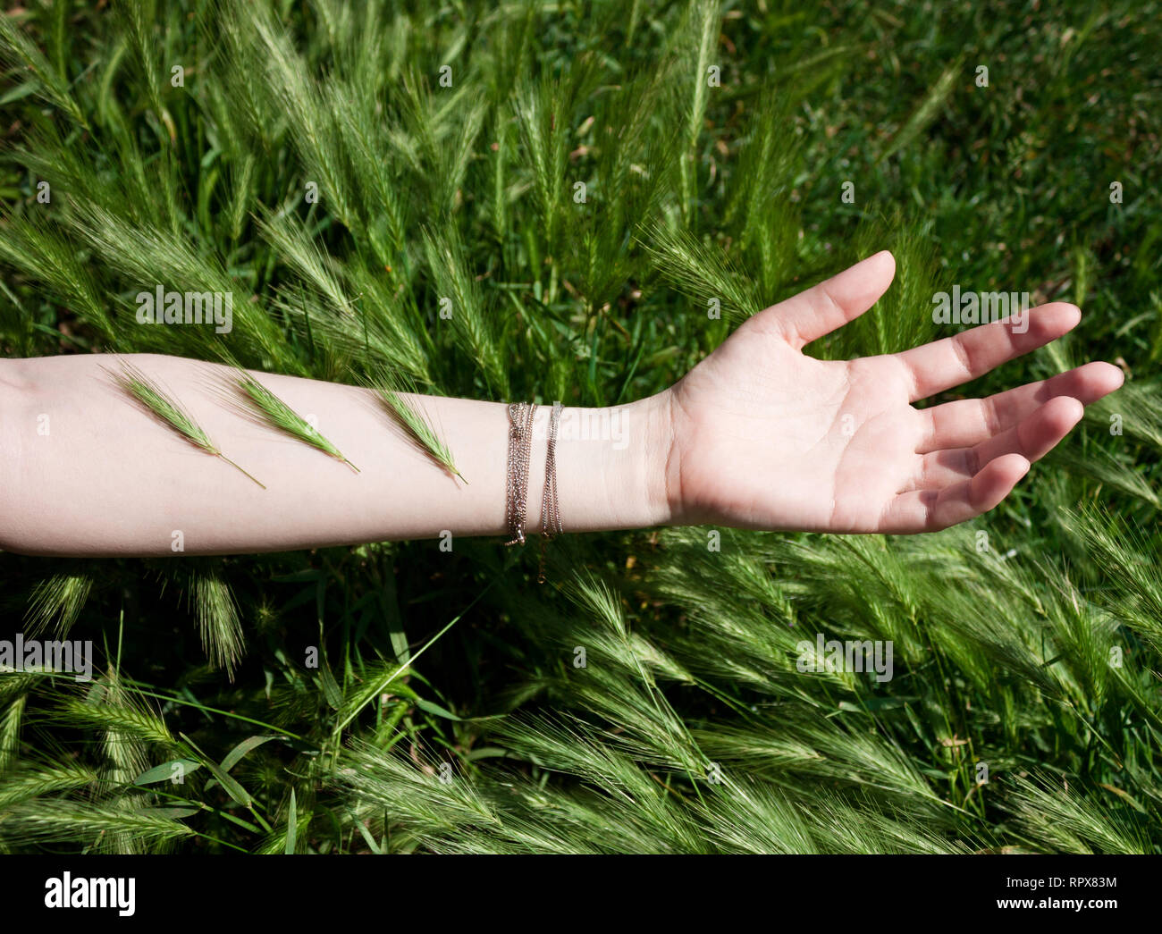 Female hand in green grass. Concept of unity with nature Stock Photo ...
