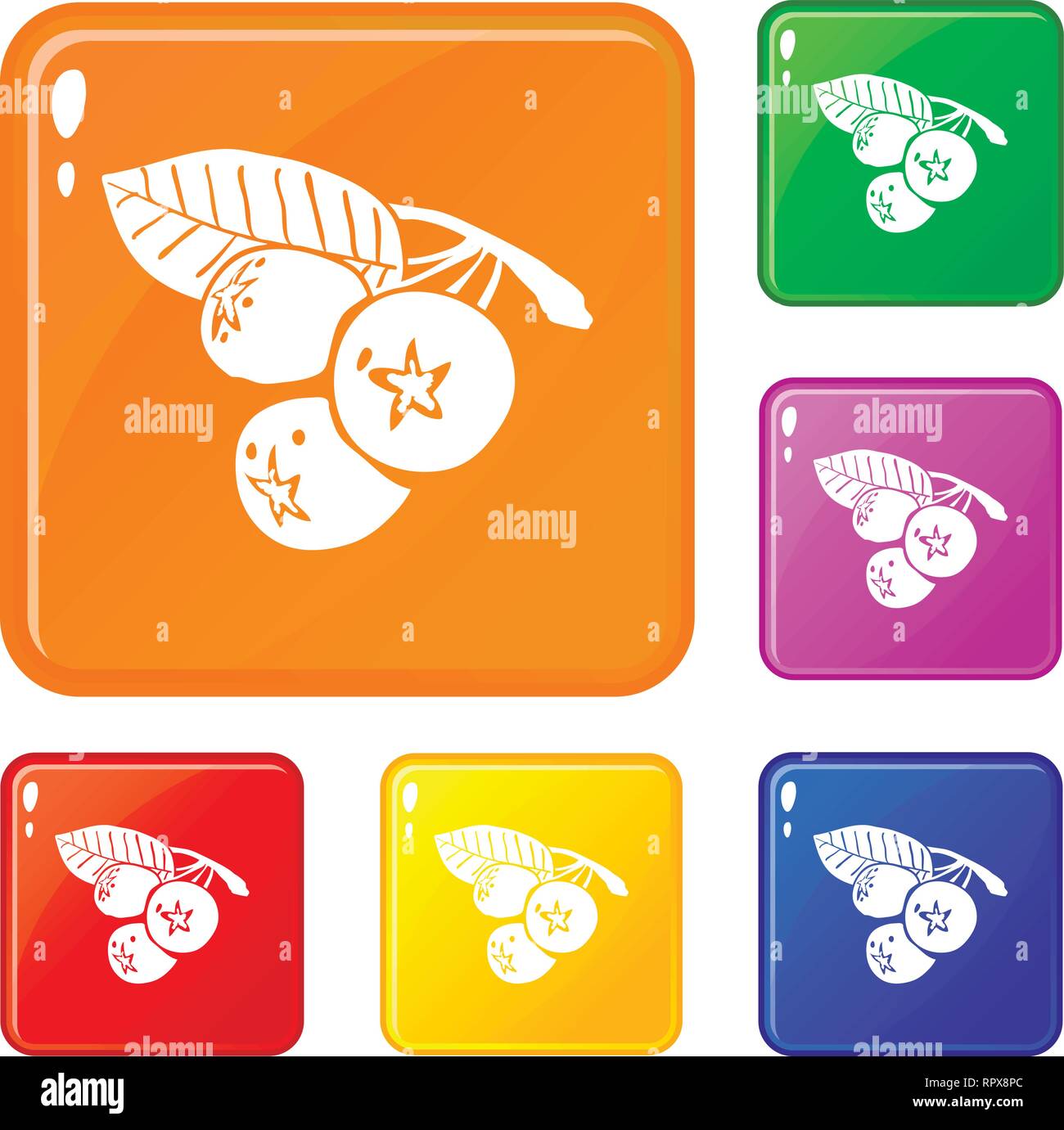 Blueberry icons set vector color Stock Vector Image & Art - Alamy