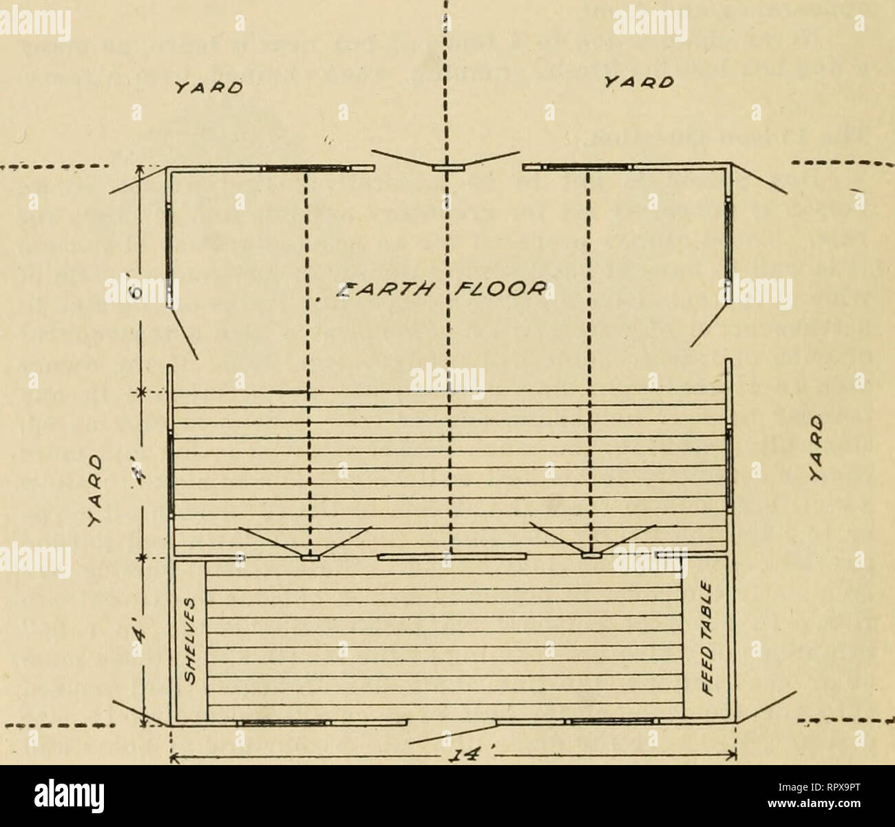 Plan terrier hi-res stock photography and images - Alamy