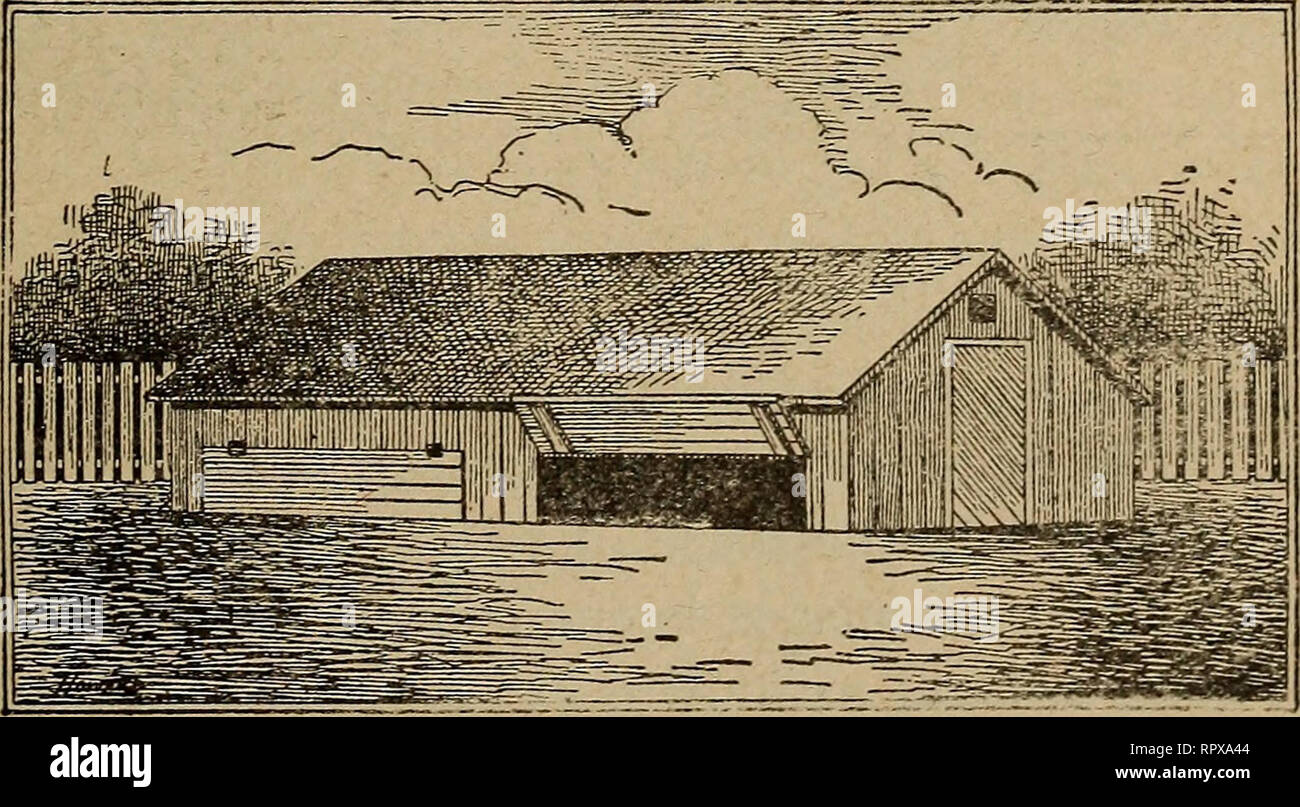 . All about Indian runner ducks;. Ducks. Fig. 19—House for growing ...