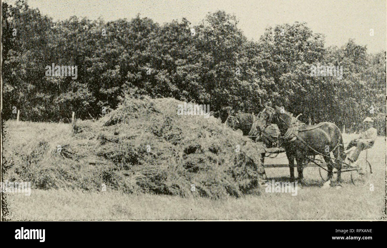 . "Alfalfa"; a handbook for the alfalfa grower and student. Alfalfa ...