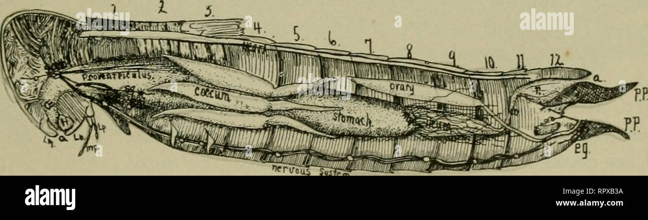 Gan systems hi-res stock photography and images - Alamy