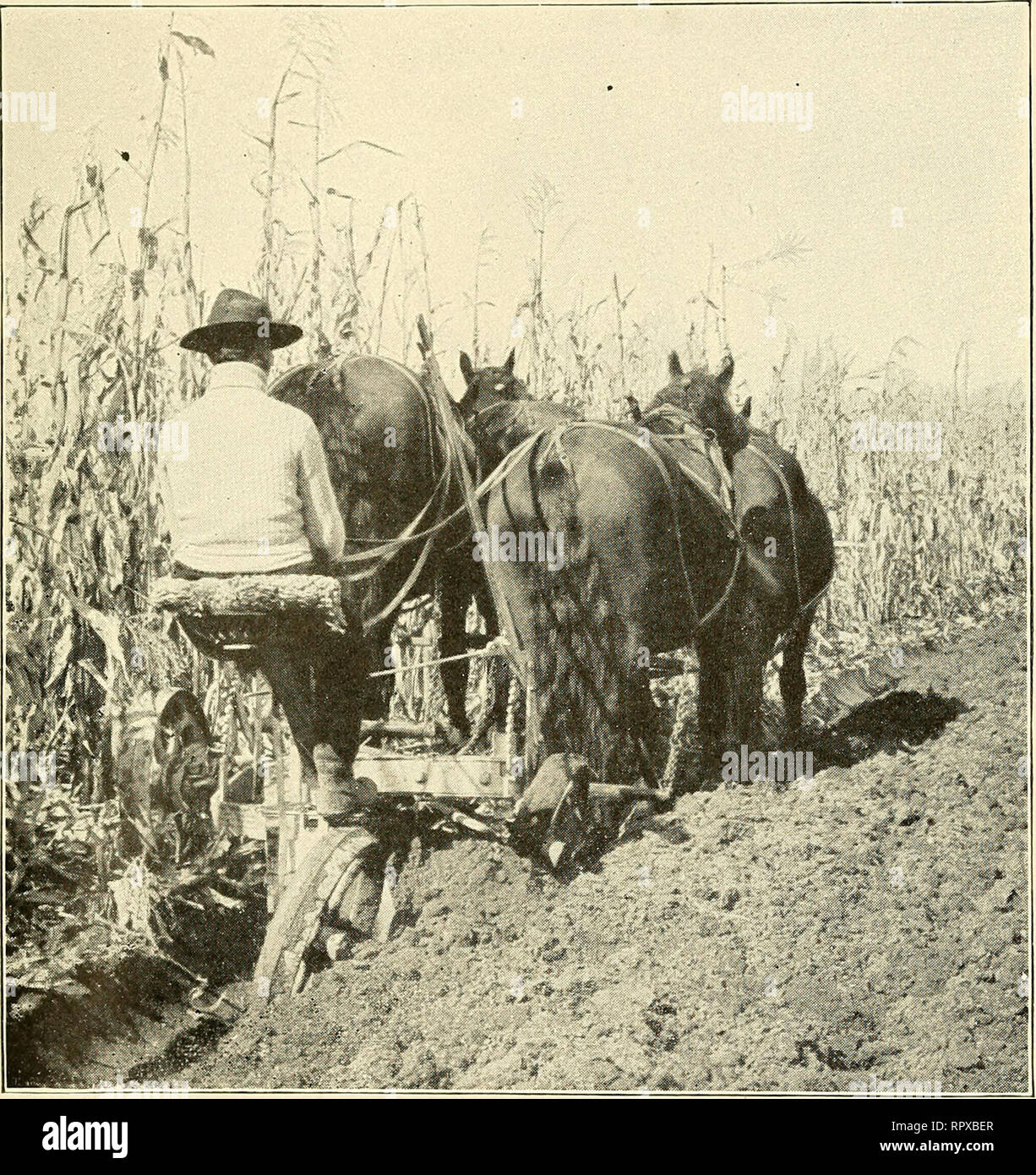 Sowing in a seedbed hi-res stock photography and images - Alamy