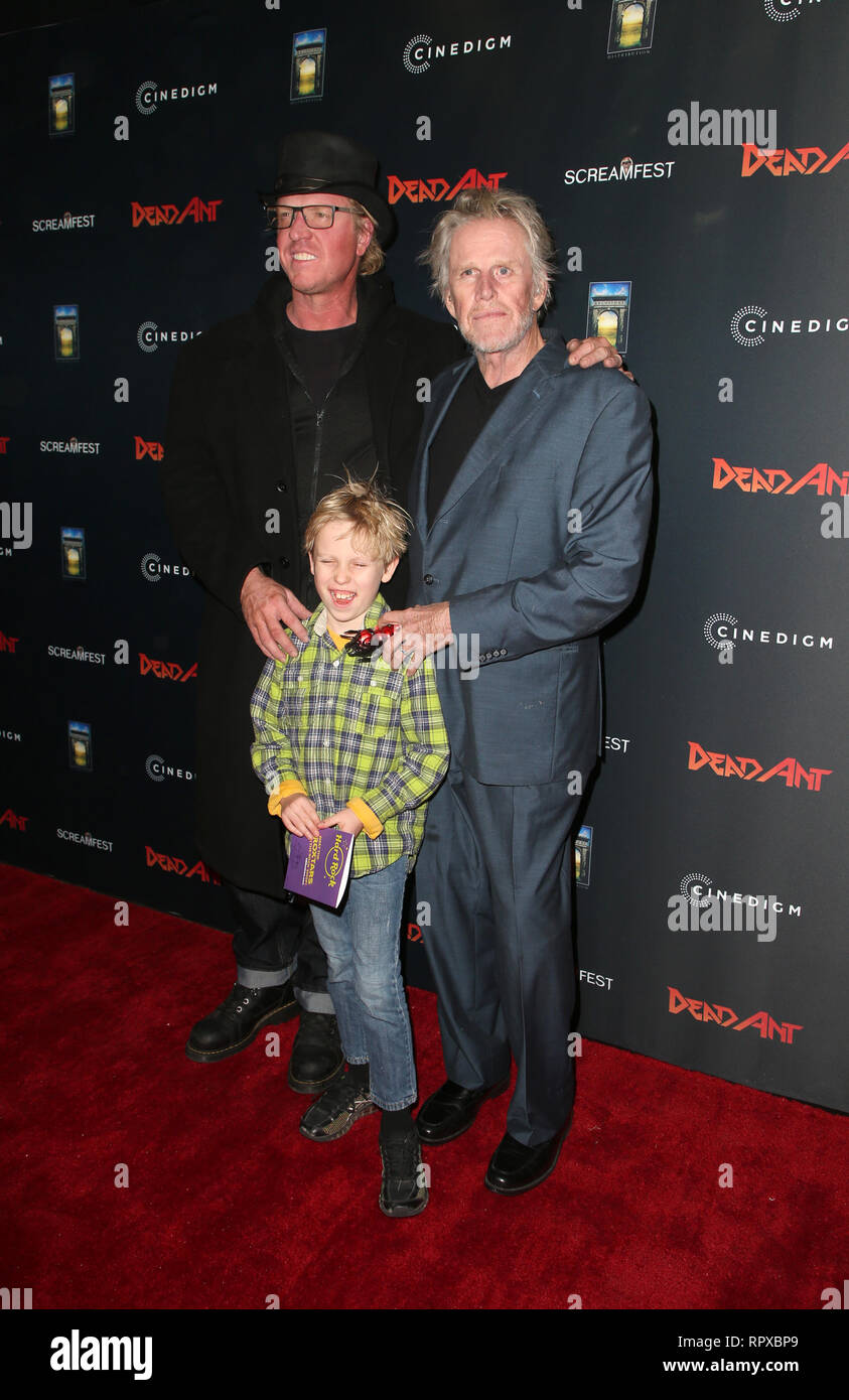 Premiere Of "Dead Ant" Featuring: Jake Busey, Gary Busey, Luke Sampson ...