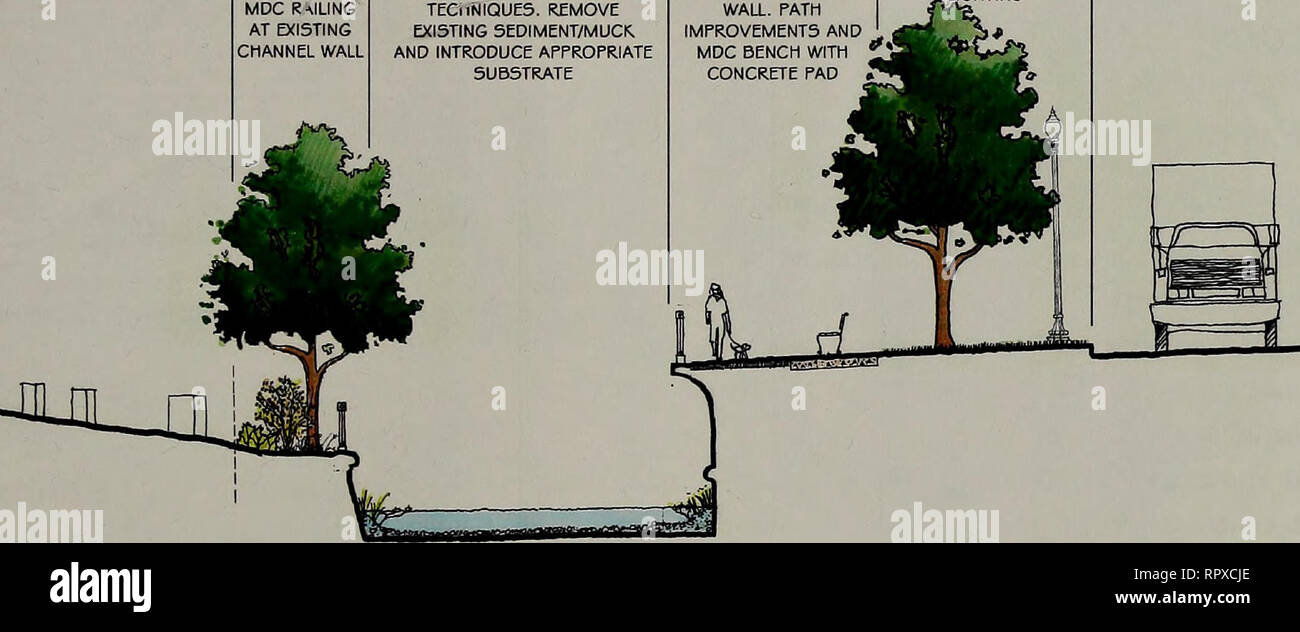 Bioengineering trees hi-res stock photography and images - Alamy