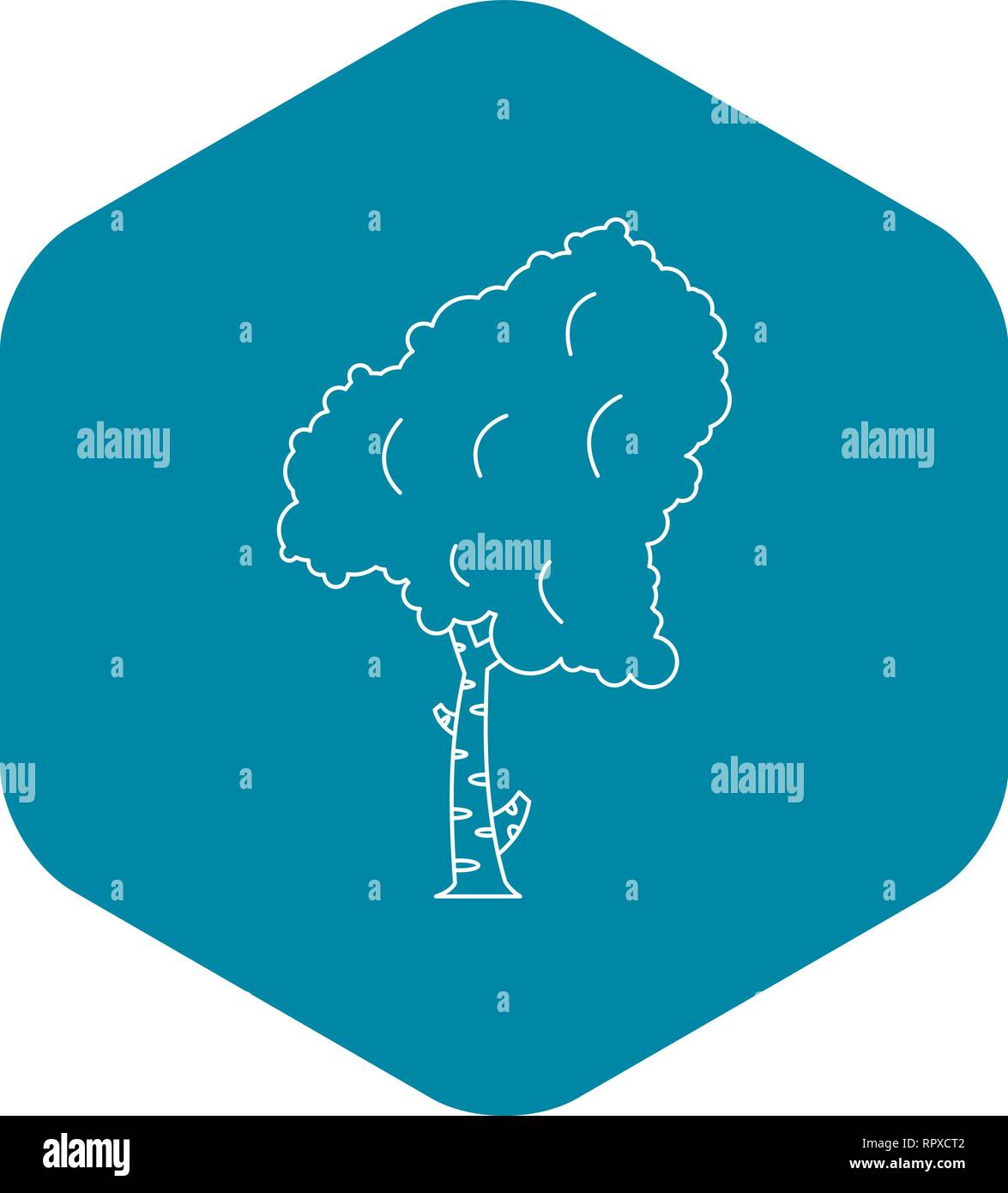 Birch tree icon, outline style Stock Vector Image & Art - Alamy