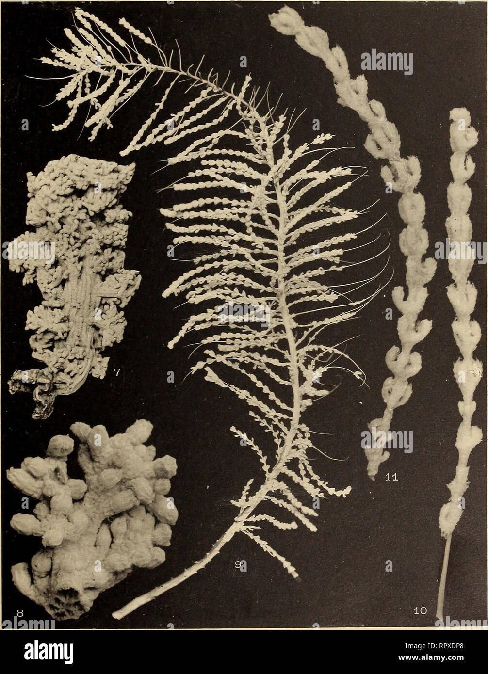 Gravier ch hi-res stock photography and images - Alamy