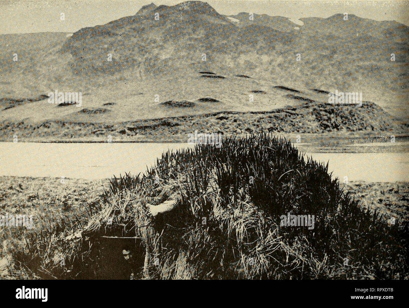 Aleut people hi-res stock photography and images - Alamy