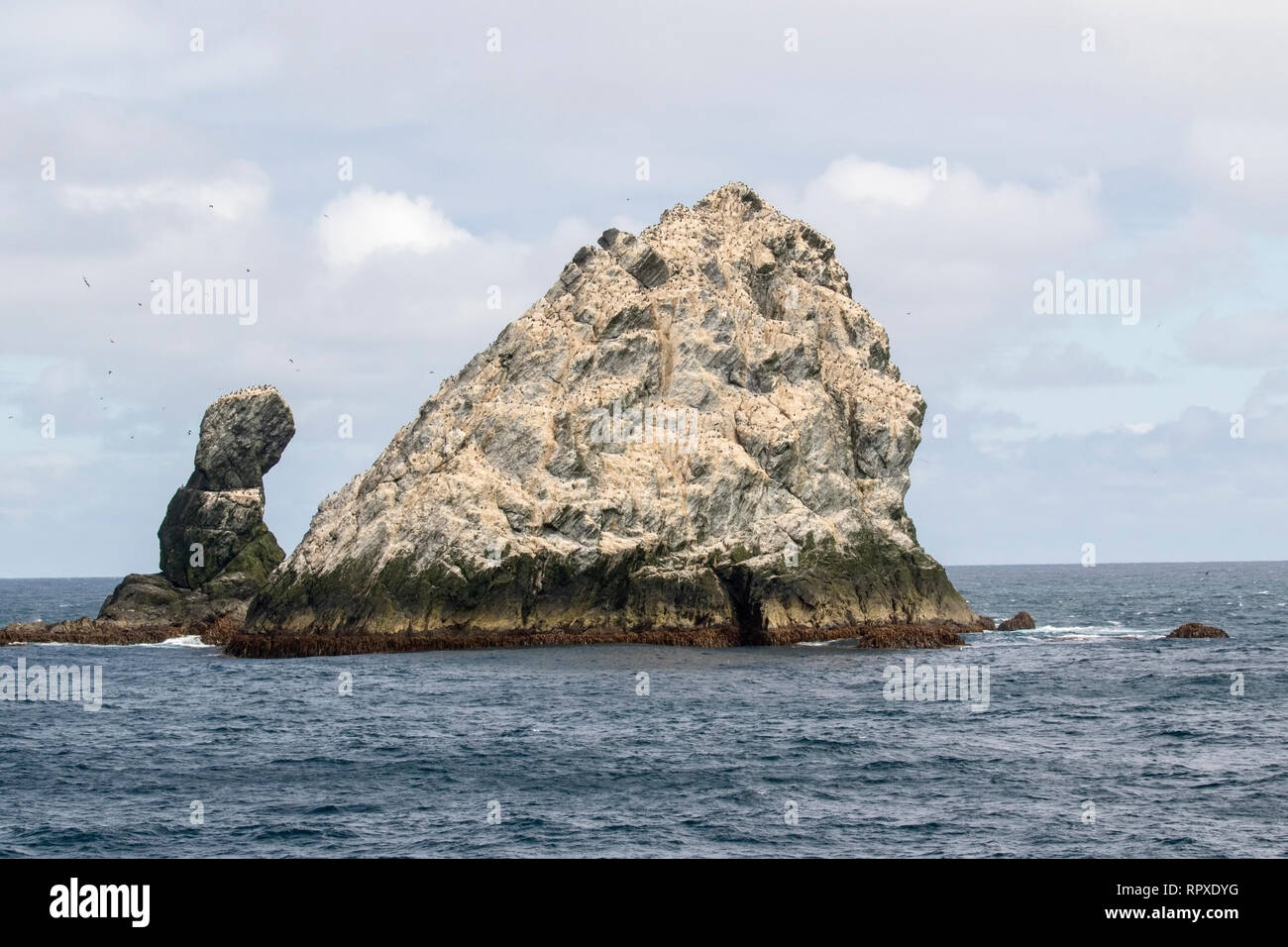 South georgia rock cliffs hi-res stock photography and images - Alamy