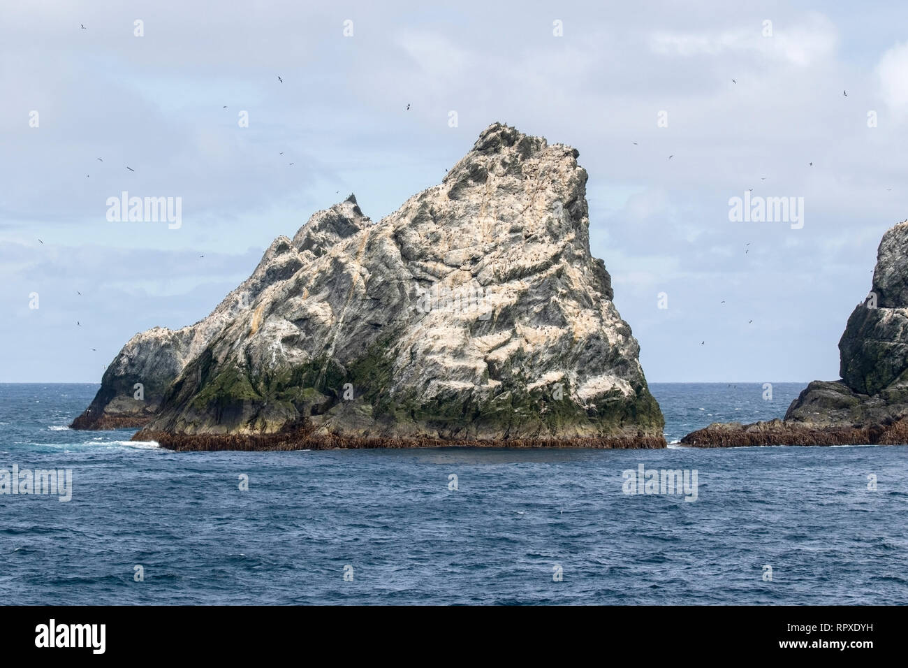 Shag rocks hi-res stock photography and images - Alamy
