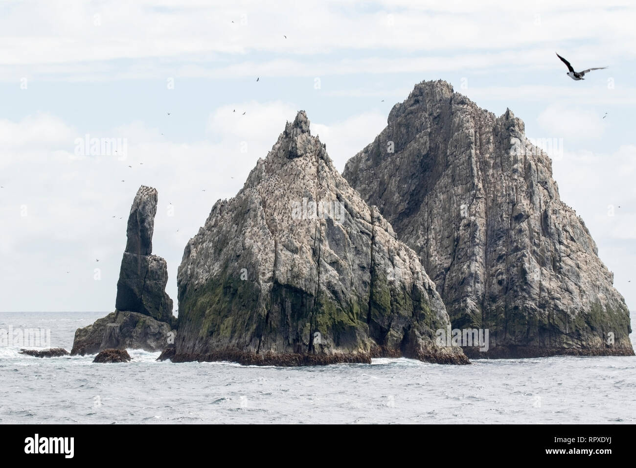 South georgia rock cliffs hi-res stock photography and images - Alamy