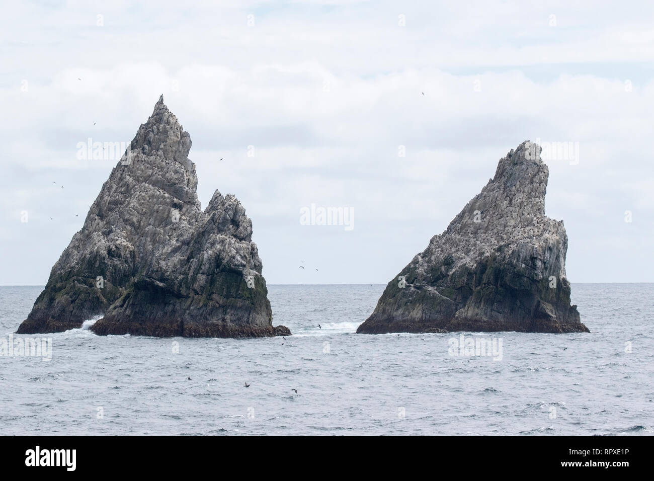 South georgia island cliff hi-res stock photography and images - Alamy
