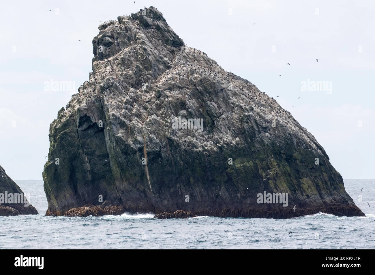 Shag rocks hi-res stock photography and images - Alamy