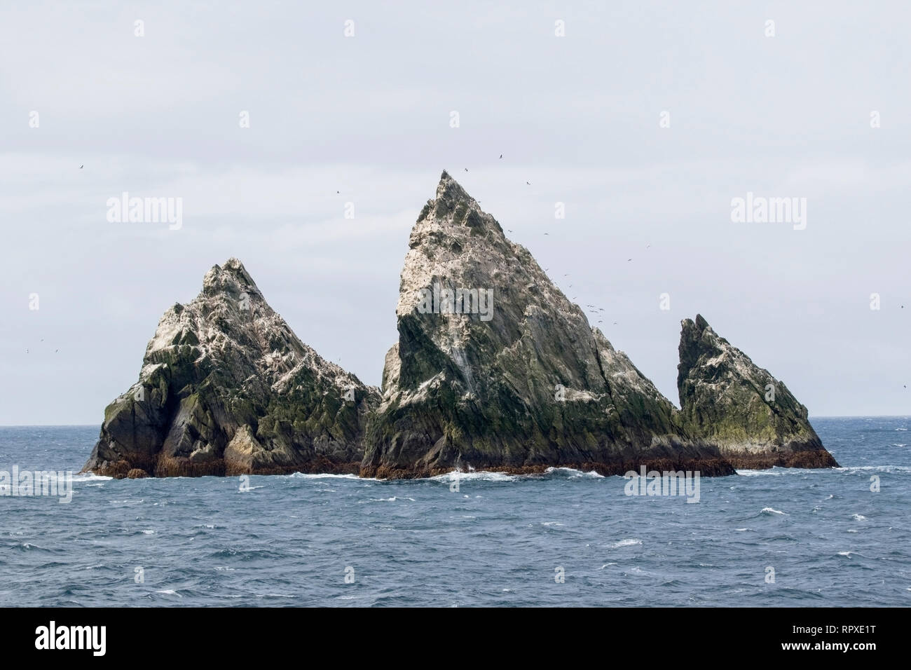 Shag Rocks, South Georgia, 4 January 2019 Stock Photo - Alamy