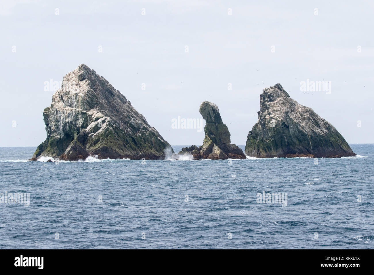 Cliffs south georgia island hi-res stock photography and images - Alamy
